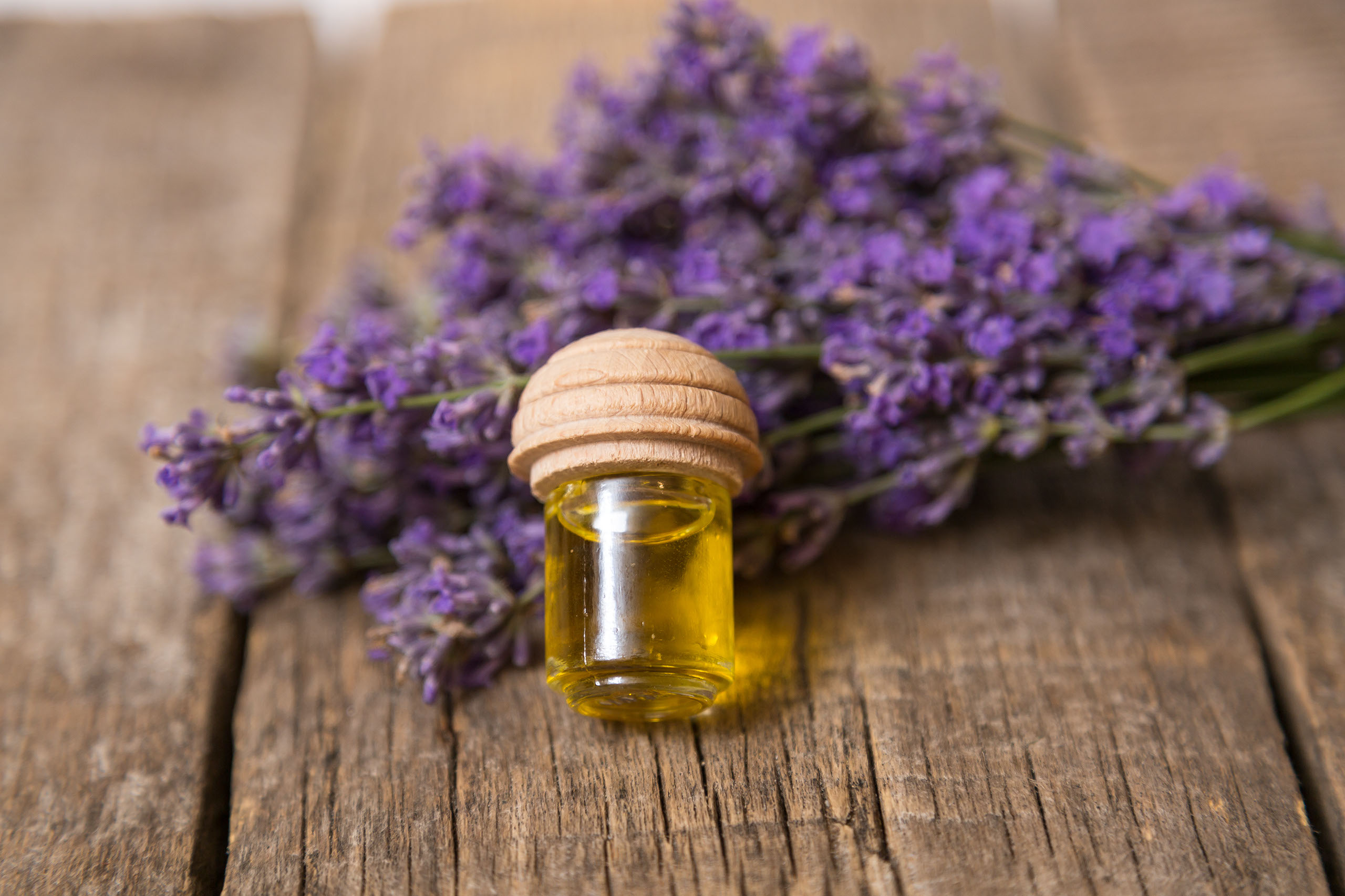 Essential oils (Concretes & Absolutes)